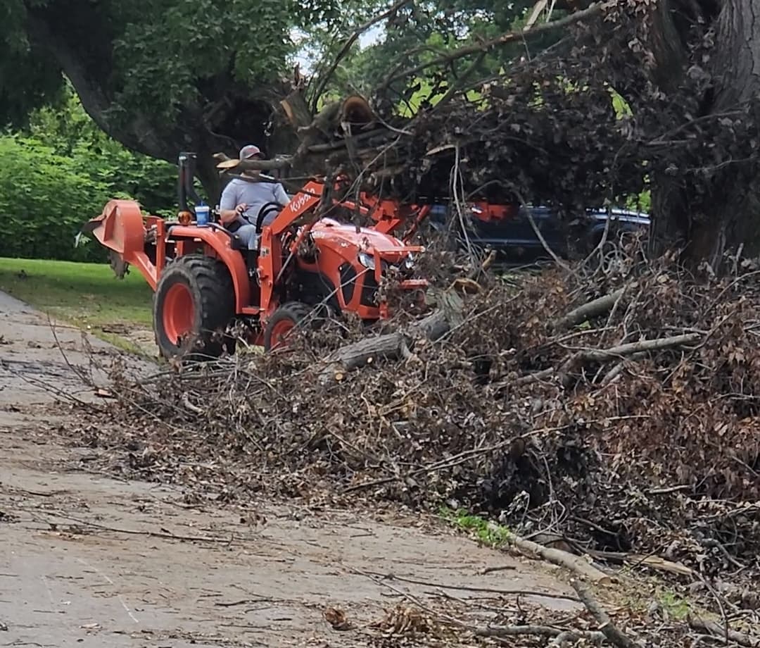 R&R Stump Removal | Professional Stump Grinding Services